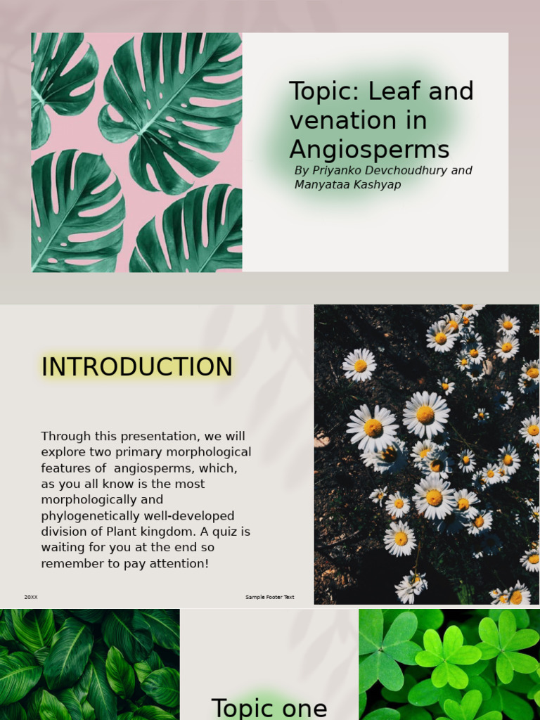 Botany Presentation (FINAL) | PDF