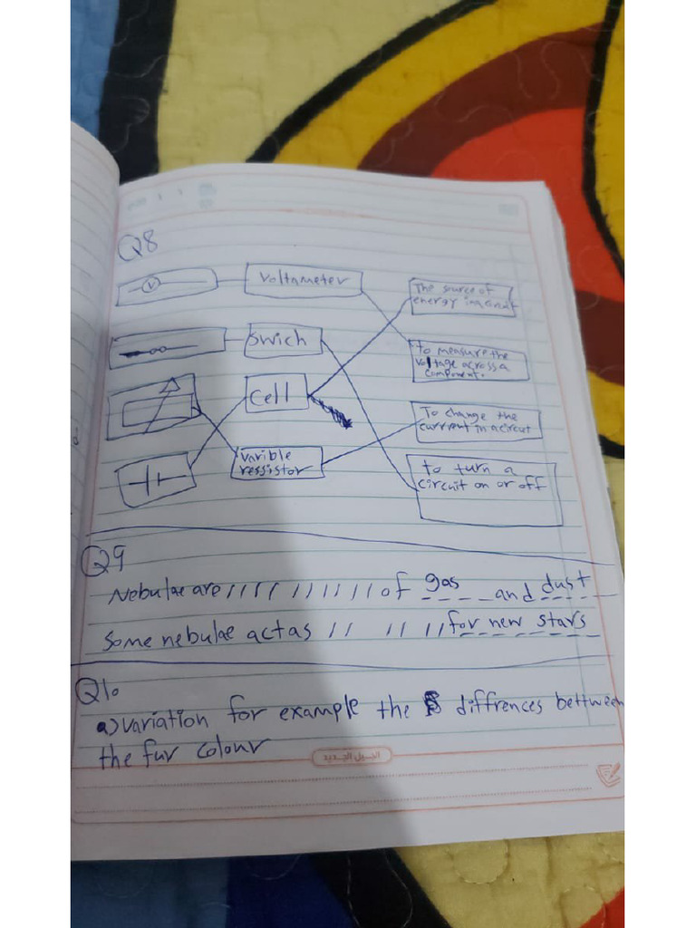 Since Exam Paper 1 | PDF