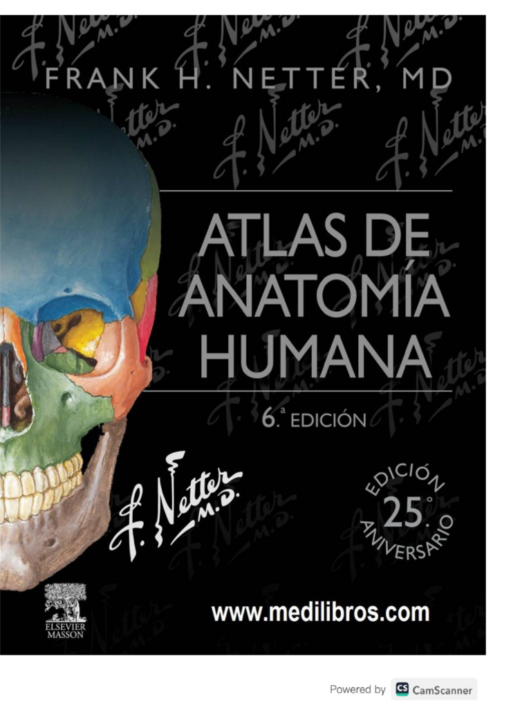 Atlas de Anatomía de Netter | PDF