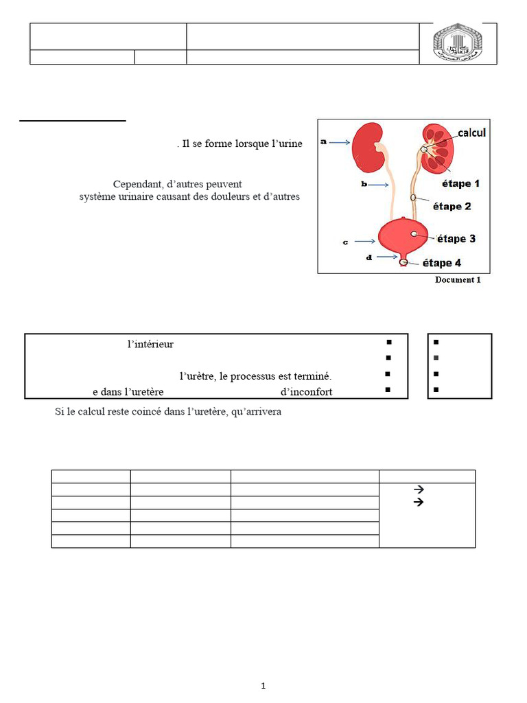 Examen unifie en sciences EB6 2023-2024 | PDF