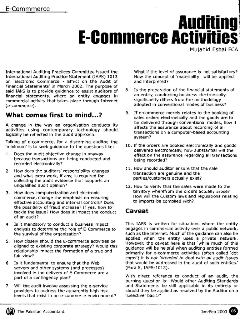 Auditing e Commerce Activities JF 03 | PDF