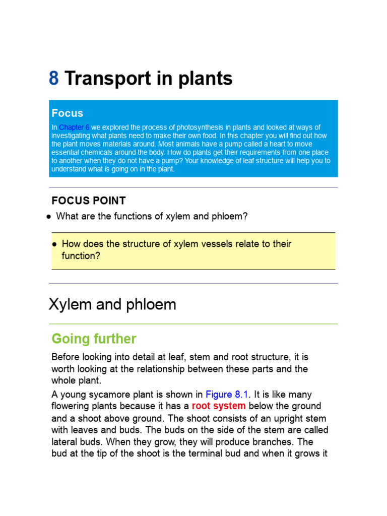 Textbook Chap. 8 Transport in Plants | PDF