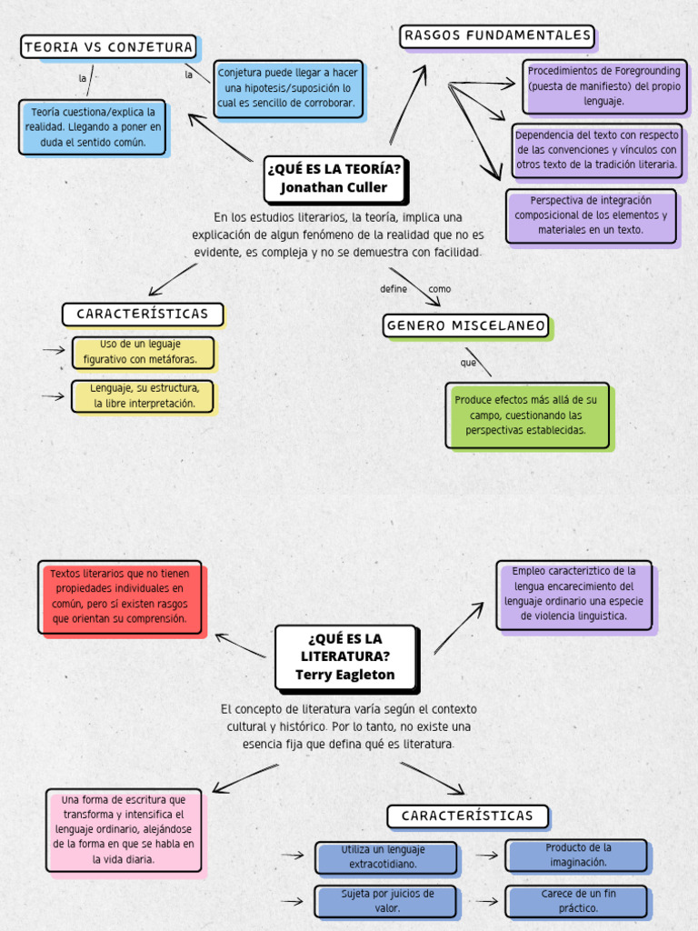 Organizador Gráfico - ¿Qué es Teoría y ¿Qué es Literatura | PDF