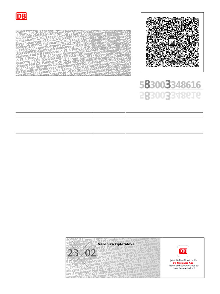 DB_Ticket_583003348616 | PDF
