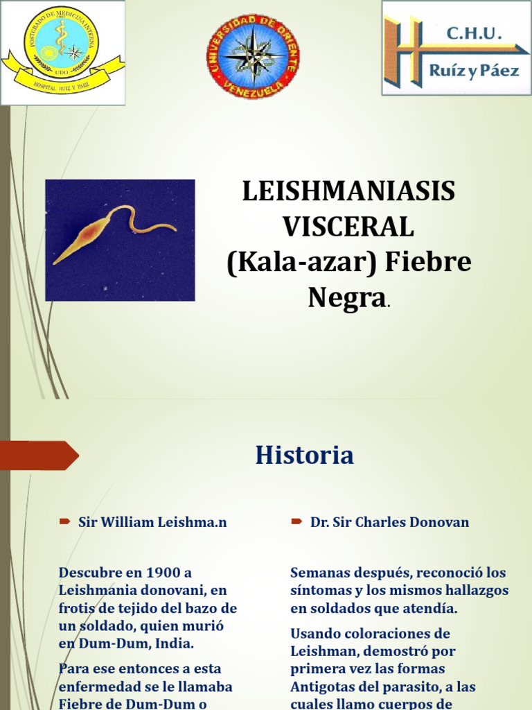 Leishmaniasis Visceral | PDF