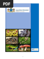 RRB Exam Science Prep Guide | PDF | Leaf | Plants