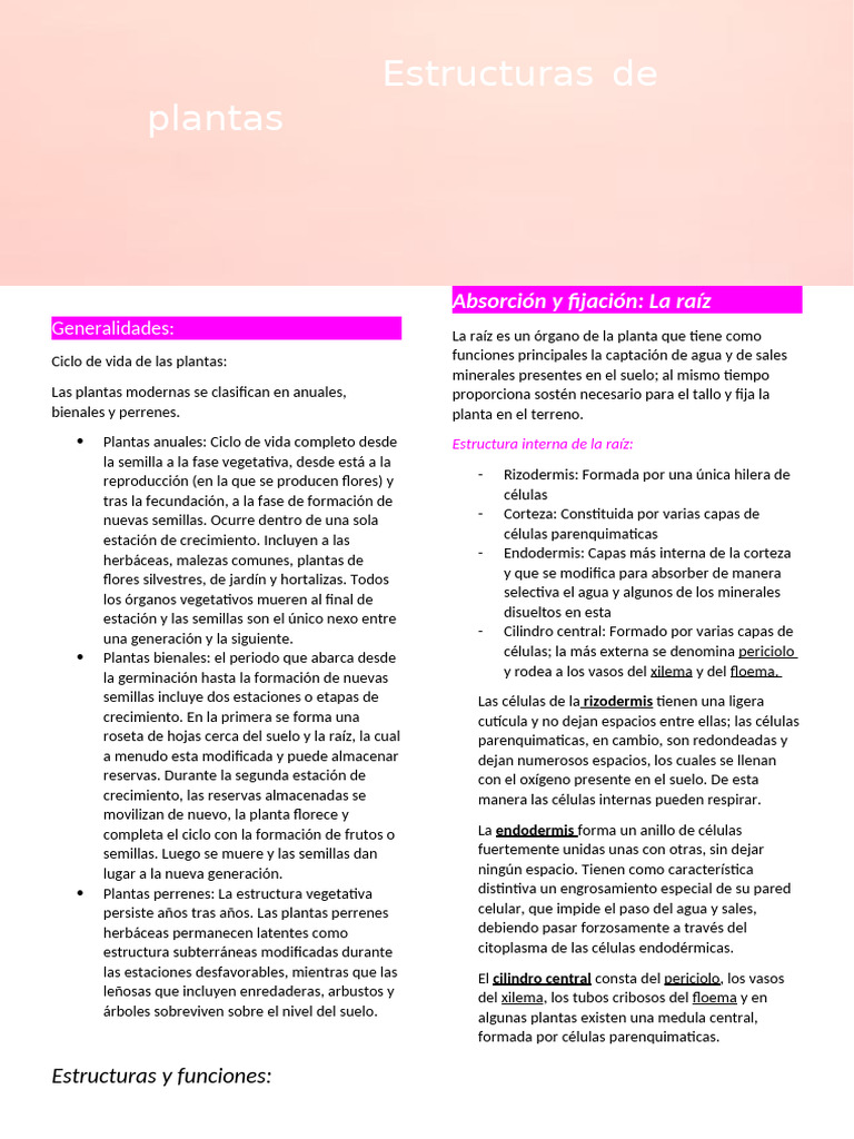 Estructuras de Plantas | PDF | Raíz | Tallo de la planta