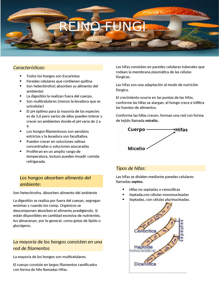Reino Fungi | PDF