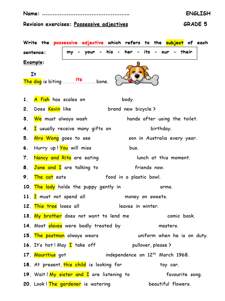 Possessive Adjectives Worksheet G5 M | PDF