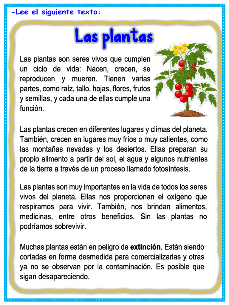 F. Leemos Sobre Las Plantas | PDF | Artes del Lenguaje y Comunicación ...
