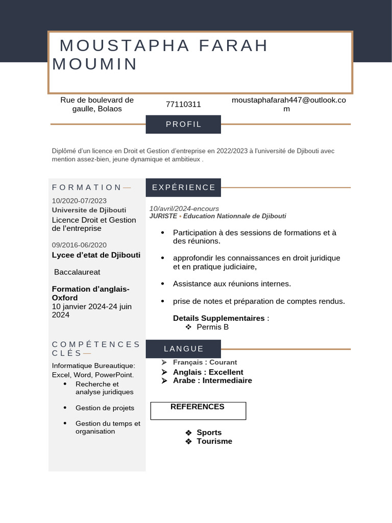 CV moustapha farah | PDF
