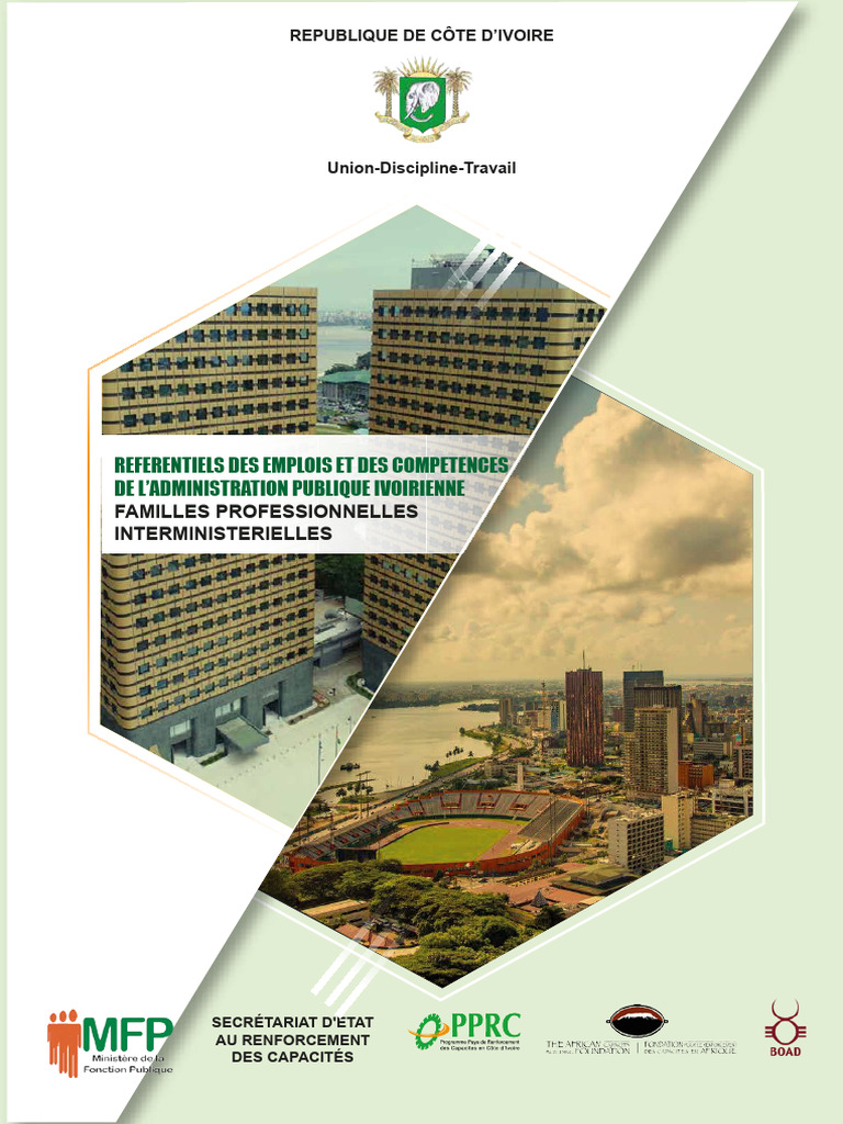 4 FPI Inspection Audit Et Controle de Gestion | PDF