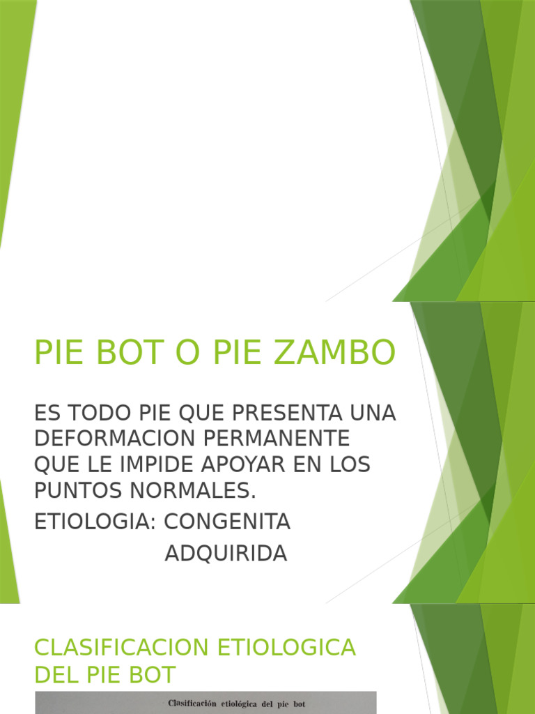 Pie Bot | PDF