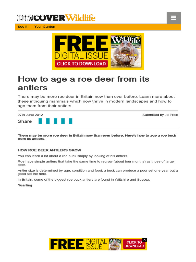 How Age Roe Deer Its Antlers | PDF
