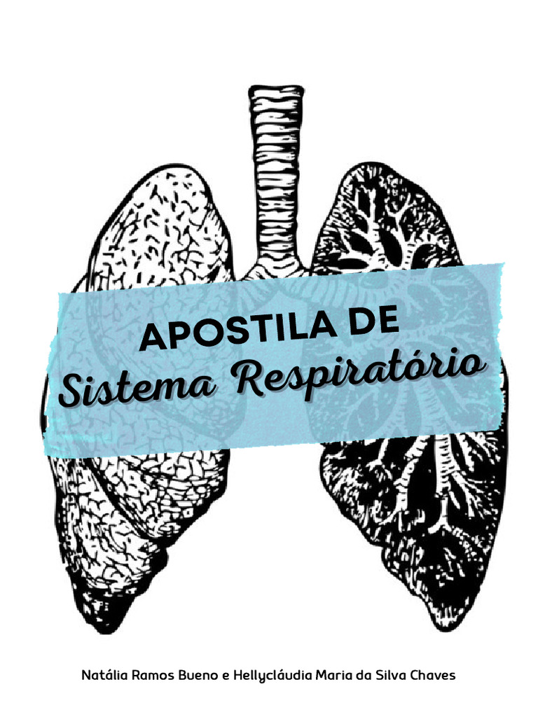 Apostila Sistema Respirat Rio | PDF