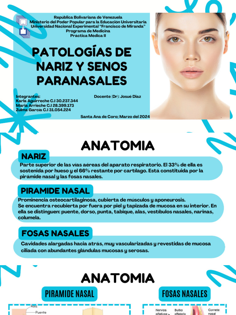 Patologías de Nariz y Senos Paranasales | PDF