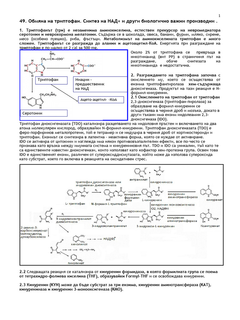 FF Lec BG 33 Try Biochem 2020 | PDF