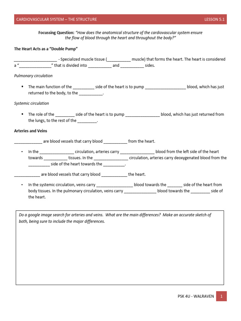 23.0 Kinesiology Lesson 5-1 Structure of Cardiovascular system ...