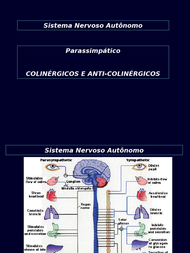 farmacologia veterinária SNA simpatico e parassimpatico | PDF farmacologia veterinária SNA simpatico e parassimpatico | PDF