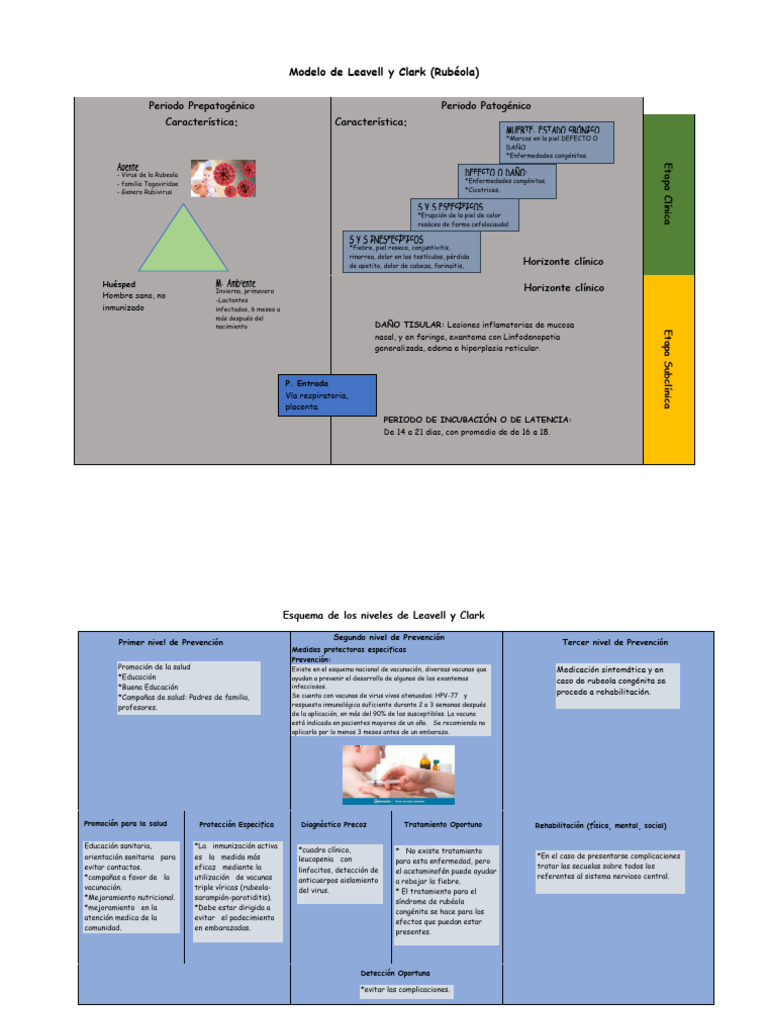 Modelo de Leavell y Clark + Esquema | PDF