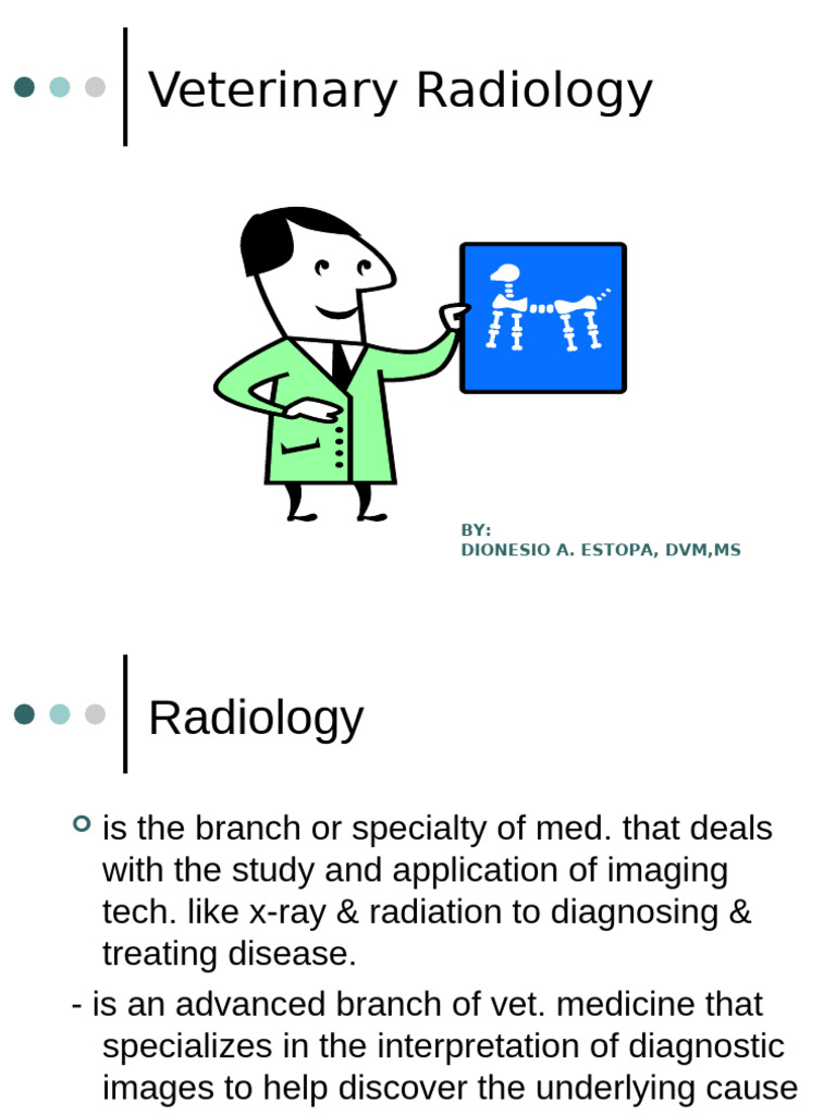 1a Intro of Veterinary Radiology | PDF