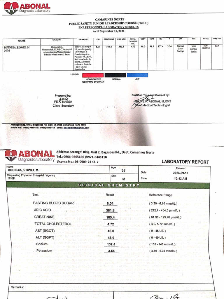 PSSG Buendia Rowel | PDF
