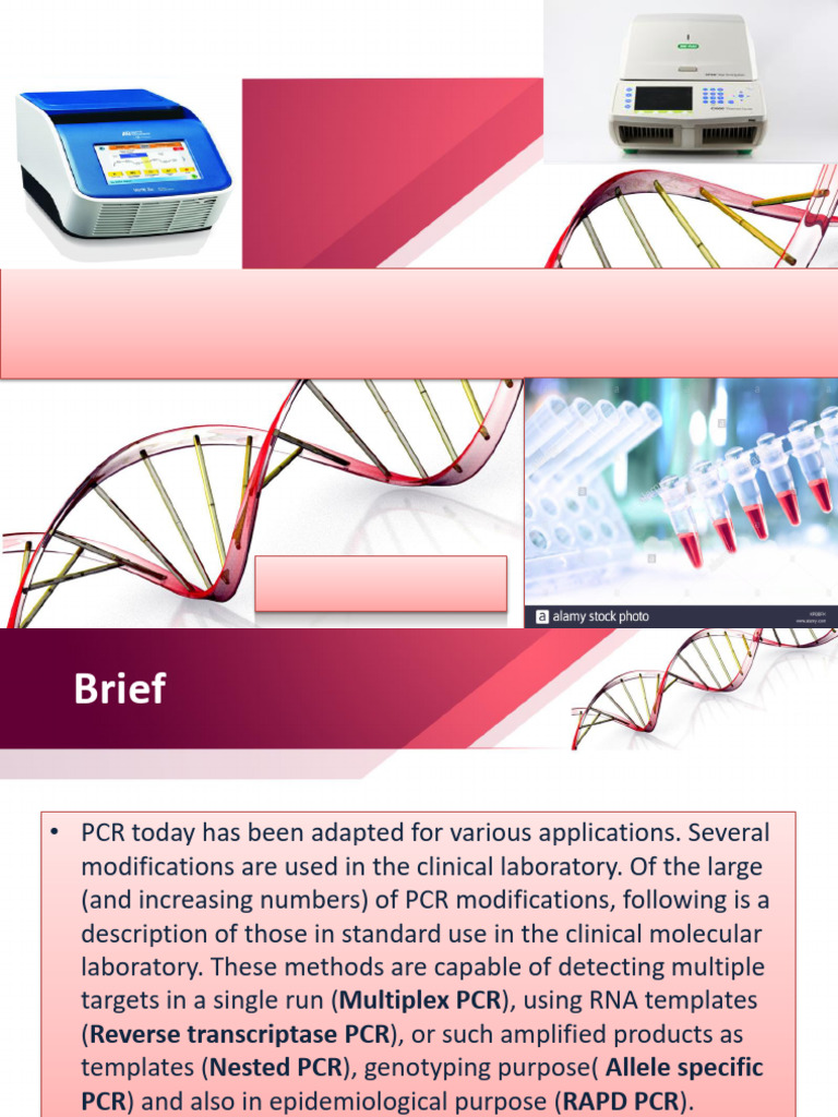 PCR Type | PDF