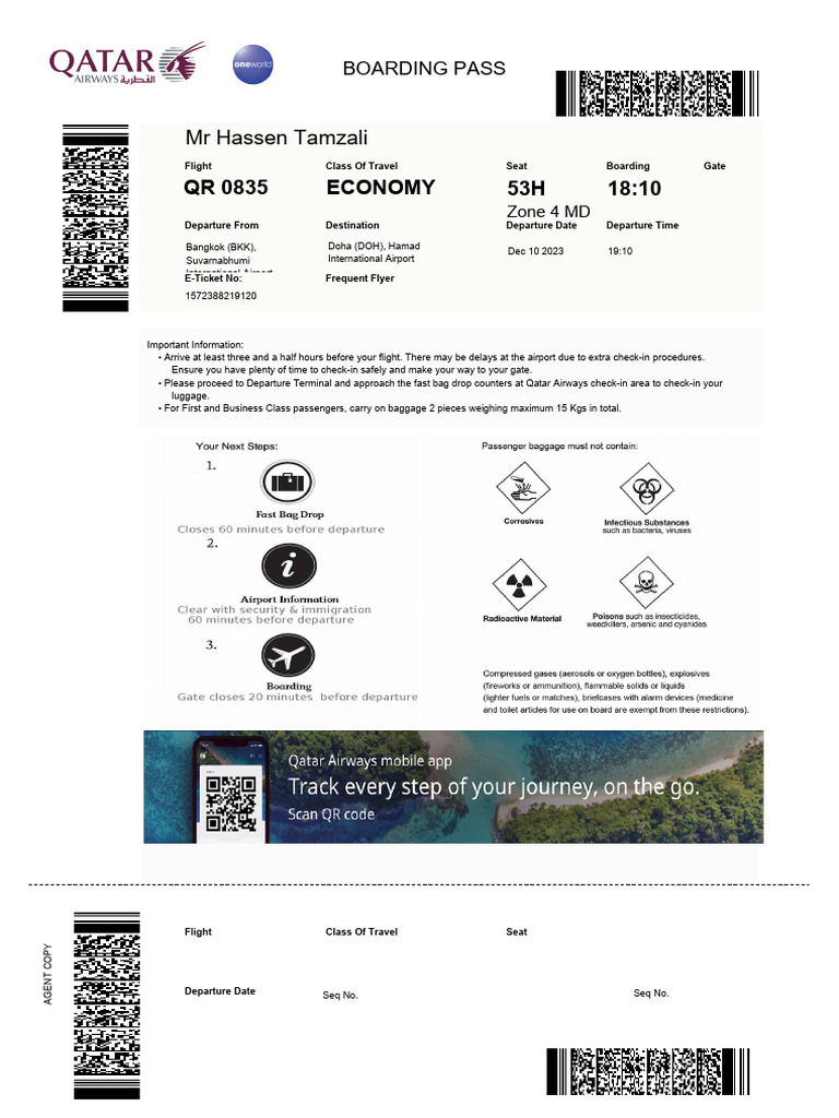 Travelpass | PDF