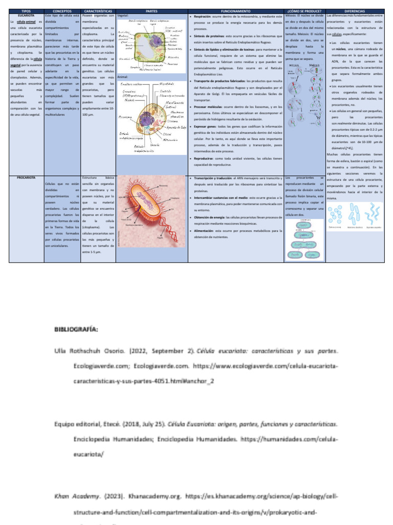 QAS2 Cuadro Comparativo María Ferndadela Crus | PDF