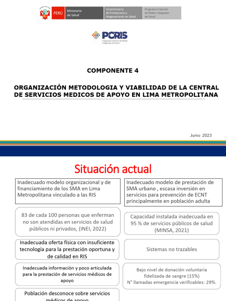 Ppt Plan Implementacion Sma Junio c4 Gfm Final i (1) (1) | PDF