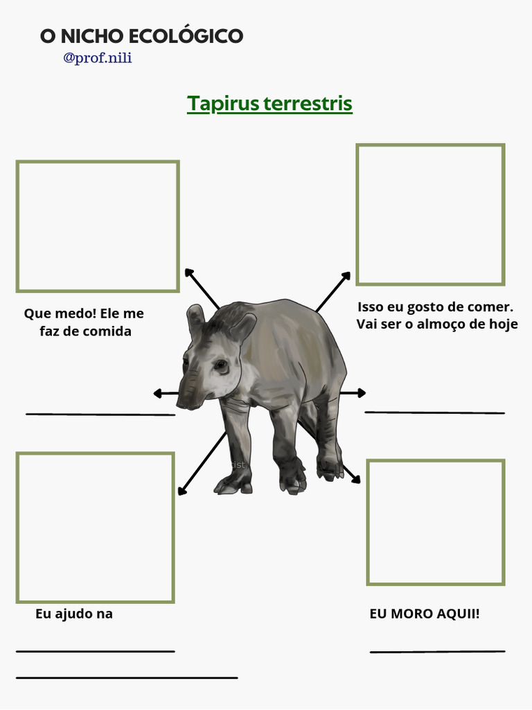 ATIVIDADE NICHO ECOLÓGICO (Documento A4) (1) | PDF