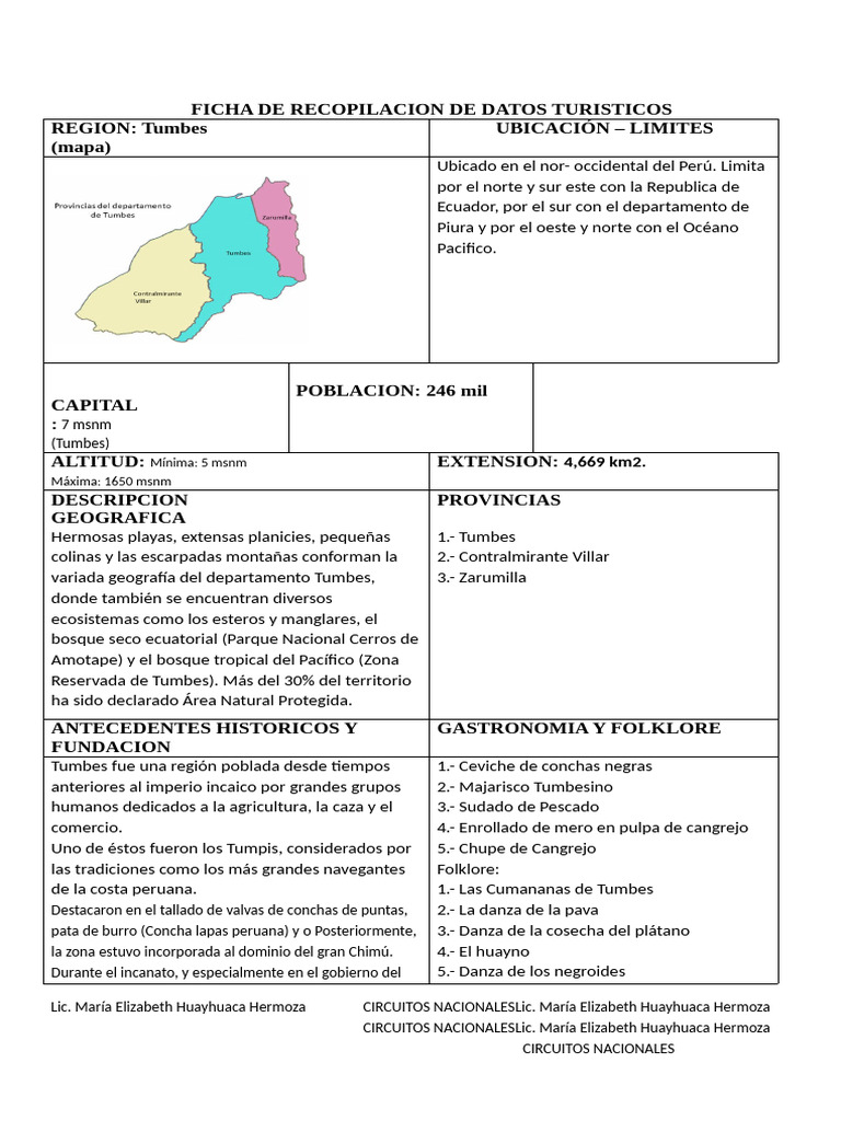 Ficha de REGISTRO DE INF TCA REGIONES | PDF