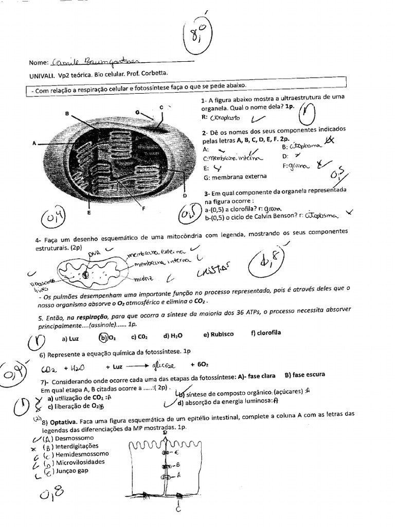 ACM2 (Biologia Celular) | PDF