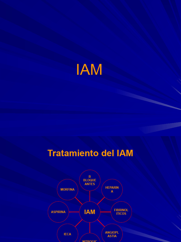 IAM | PDF