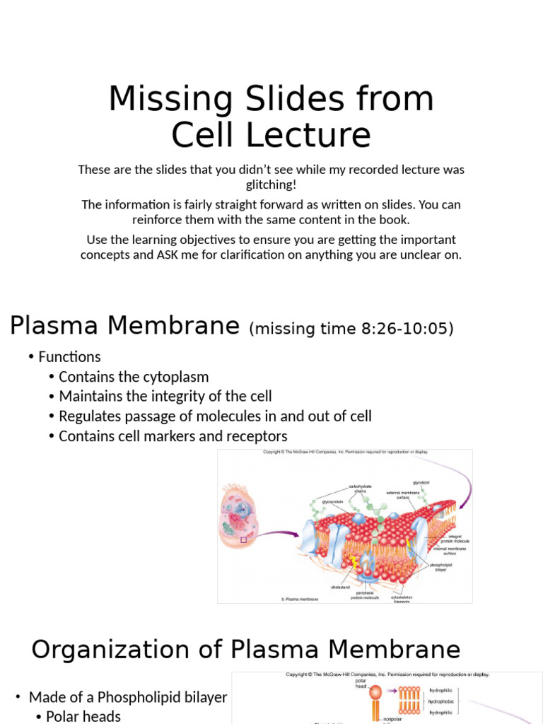 Missing Slides from Cell Lecture(1) | PDF