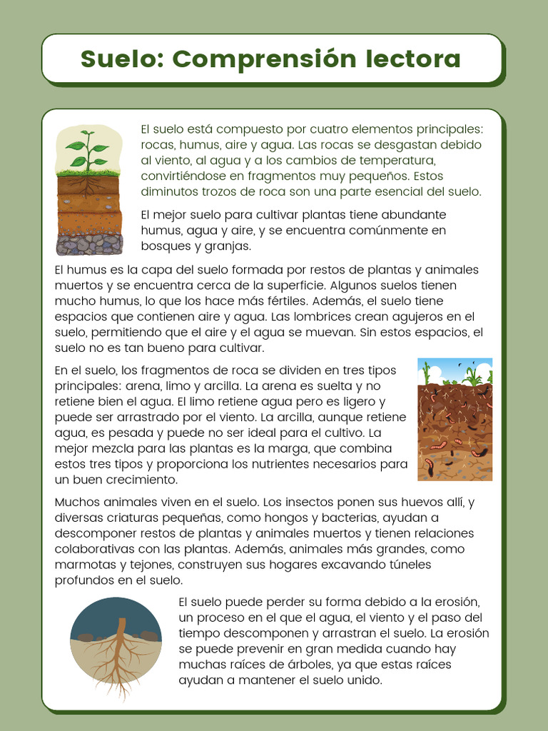 Soil Reading Comprehension | PDF