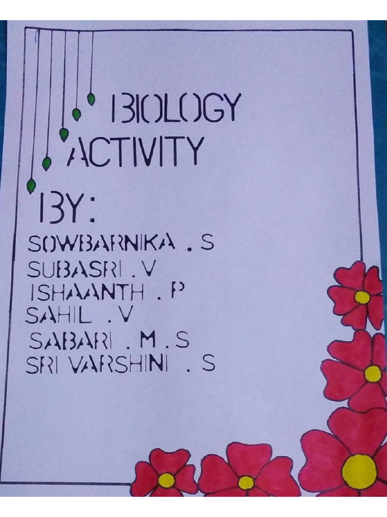 Bio Activity by Subasri'STeam | PDF
