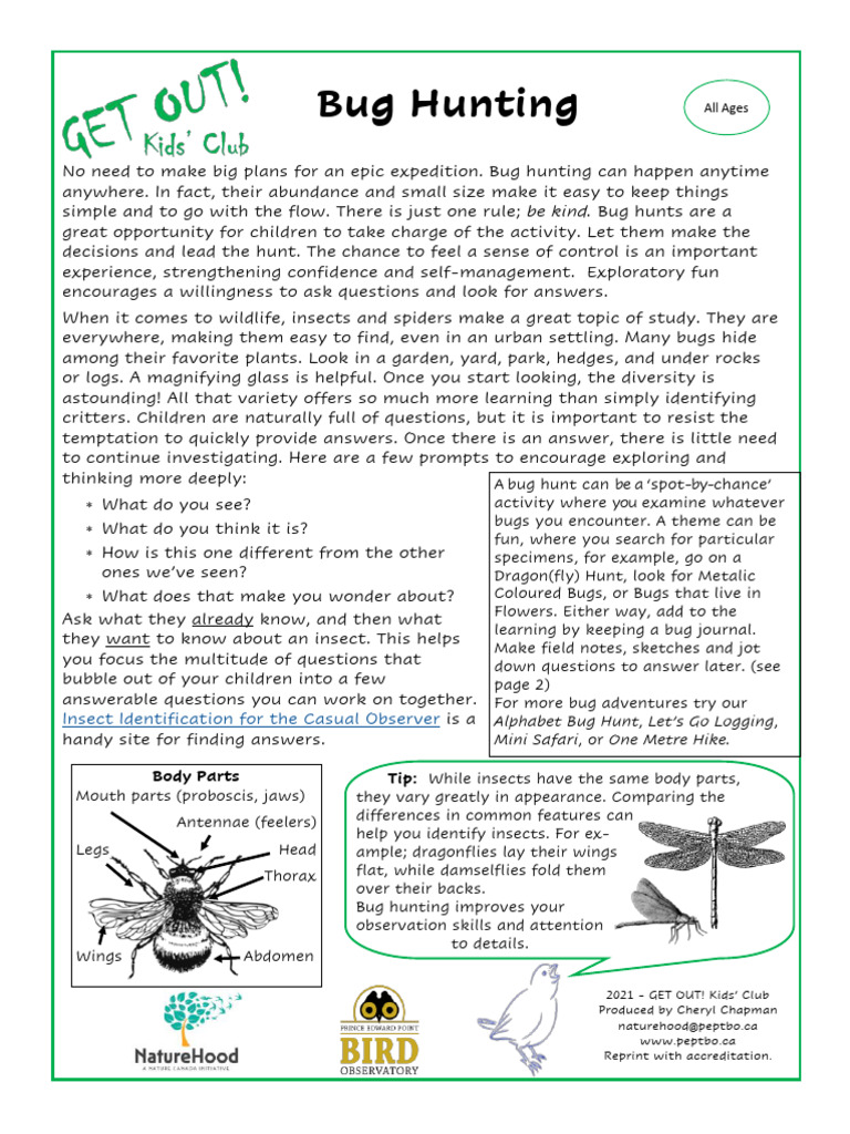 Bug Hunting | PDF