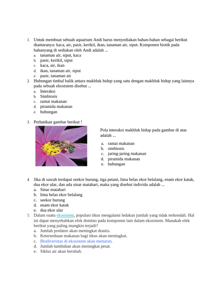PTS Ganjil Ipas X TSM 2024-2025 | PDF