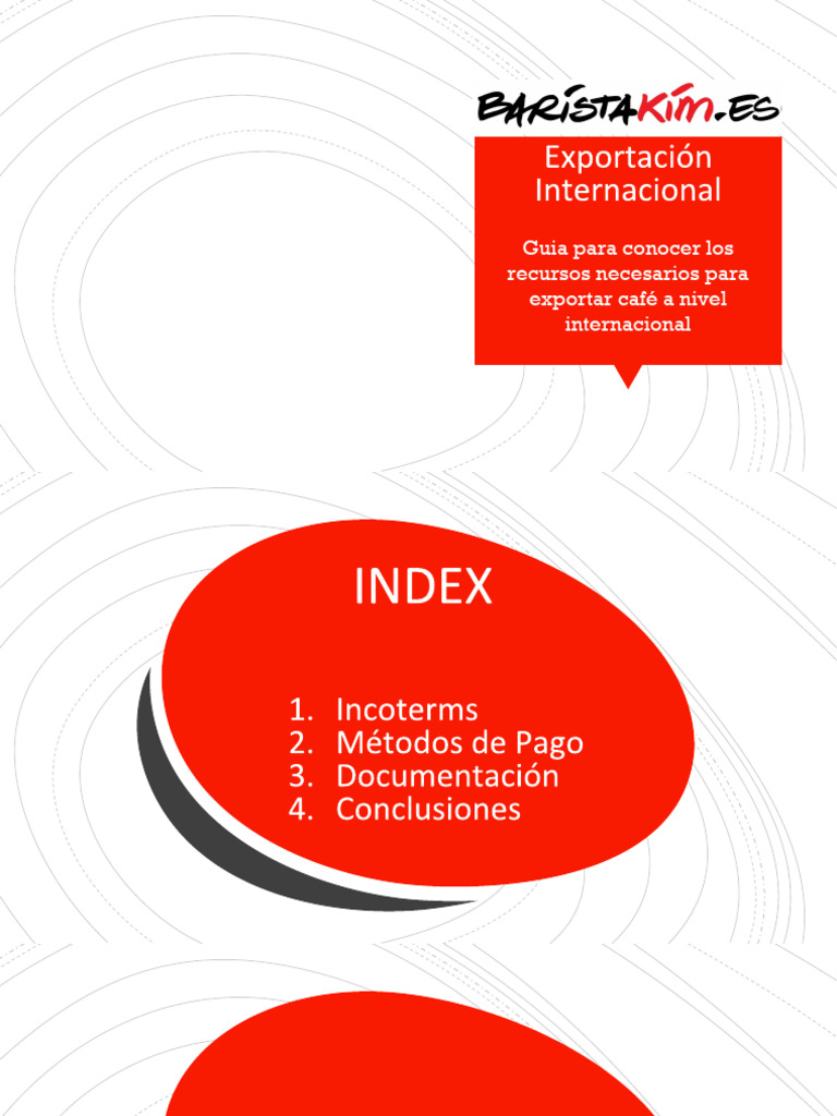 Exportaci N Internacional | PDF