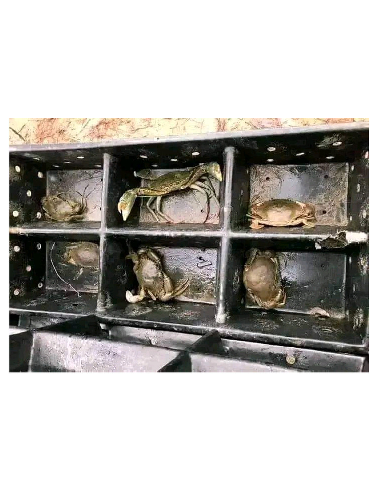 PDFGallery 20240916 092506 | PDF