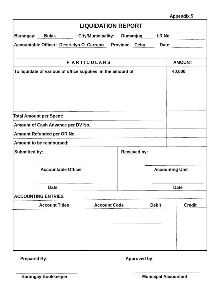 liquidation report of office supplies | PDF