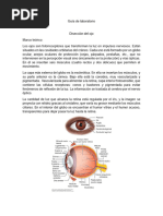 Sheep Eye Dissection Guide | PDF | Eye | Senses