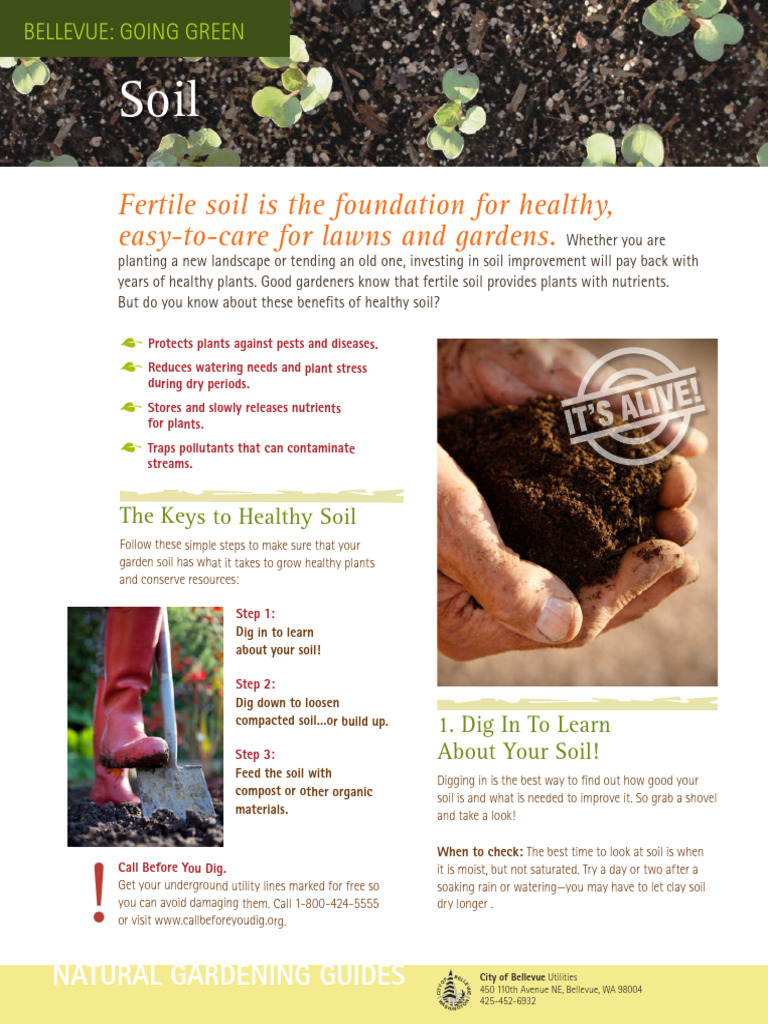Soil | PDF