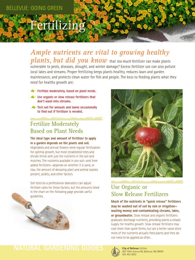 Fertilizing | PDF