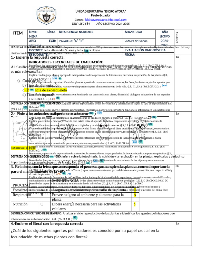 DIAGNOSTICA CON LINEAMIENTOS 2024 CCNN 7 | PDF