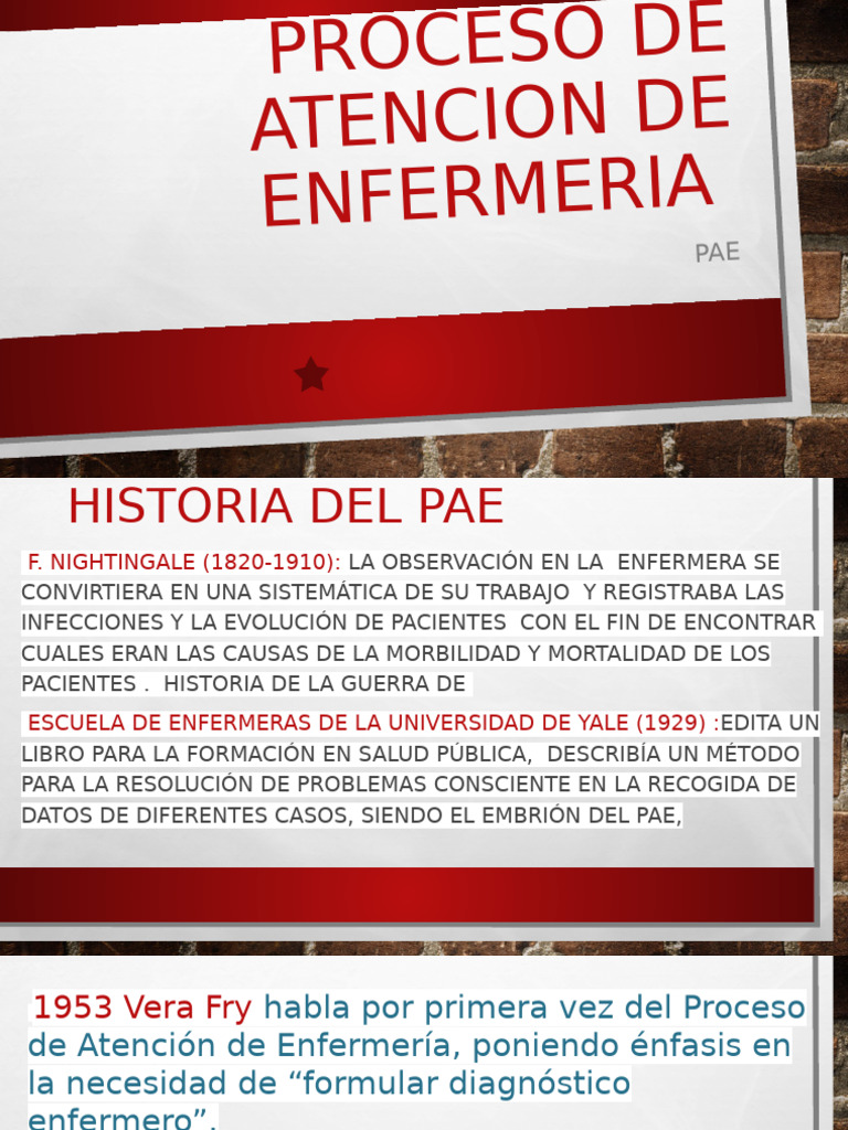 Presentacion de Pae Primer Clase | PDF