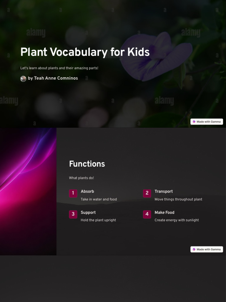 Plant-Vocabulary-for-Kids | PDF