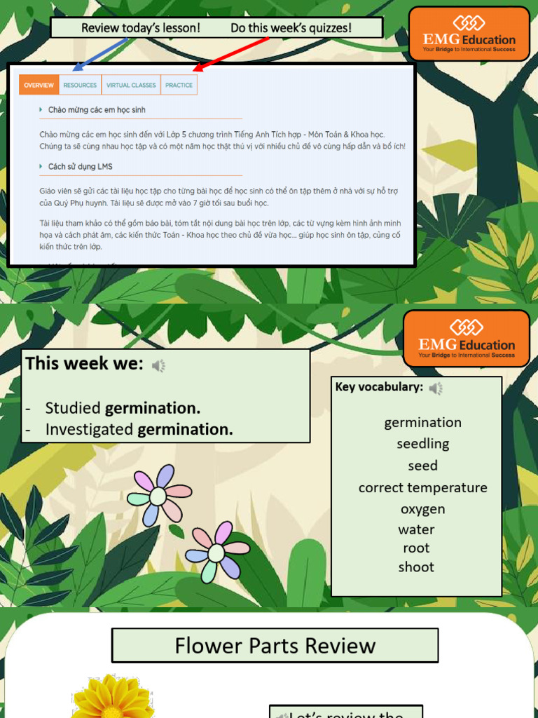 Recap Sally Science Parts of A Plant | PDF