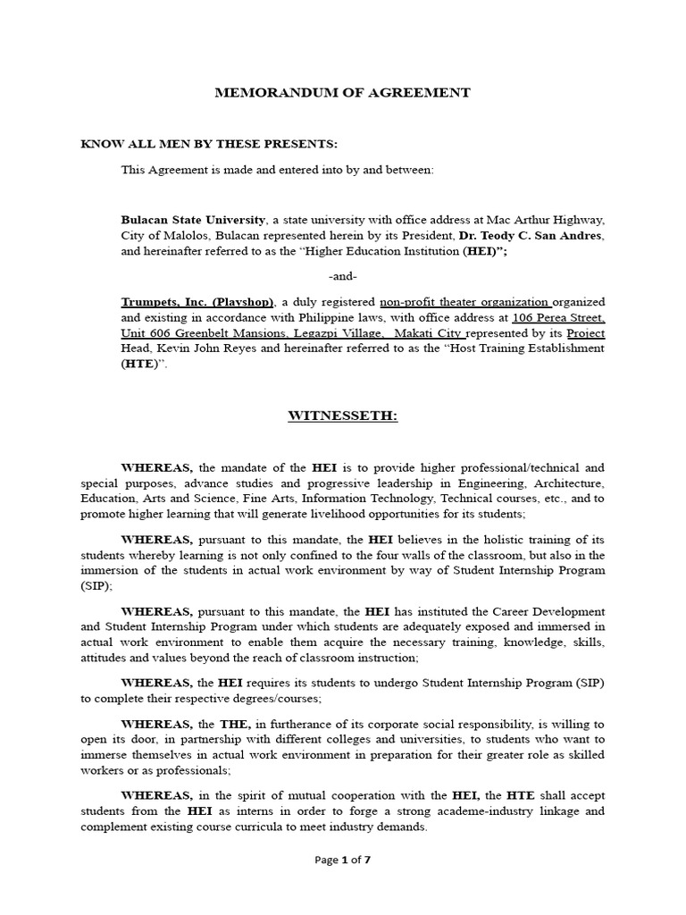 Template - Moa Student Internship Program | PDF